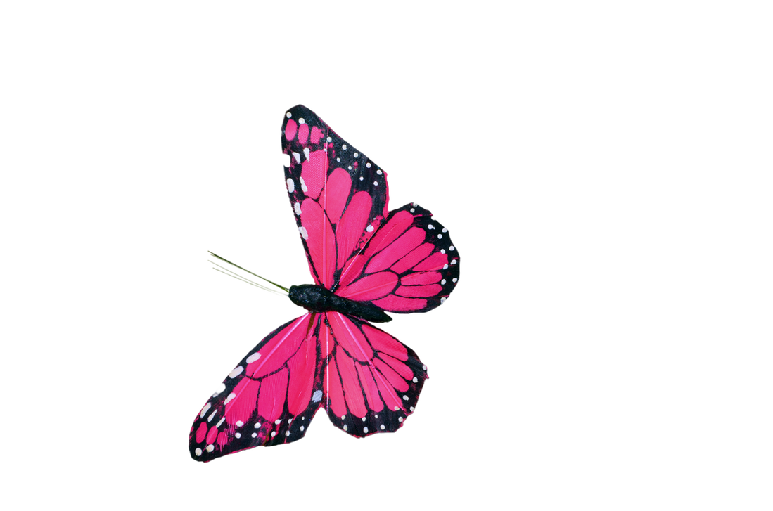 Pink Butterfly Stock PSD File by annamae22 on DeviantArt