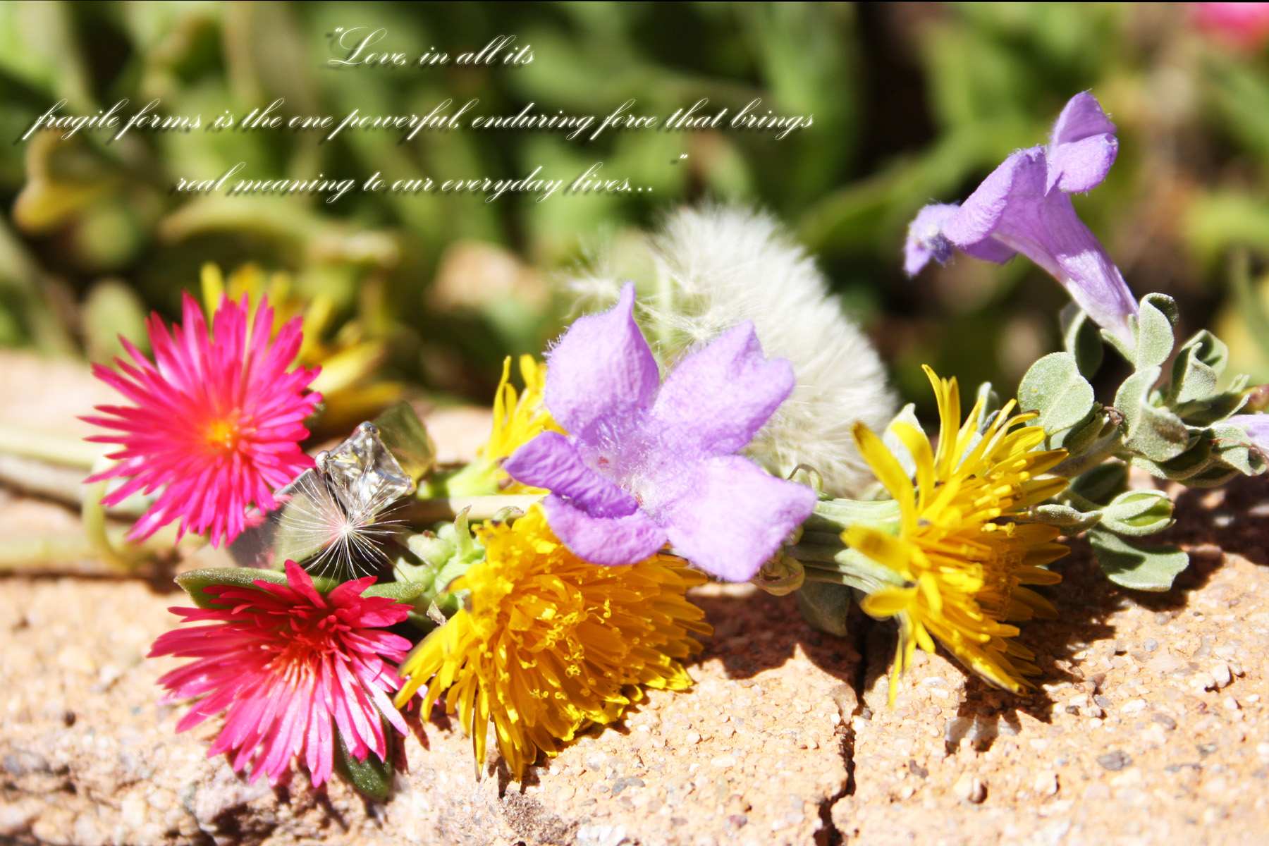 in all it's fragile forms... by Kaiterlin on DeviantArt