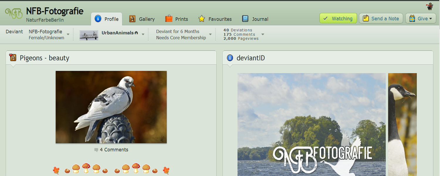 NFB-Fotografie 2k screenh shot by Cmac13 on DeviantArt