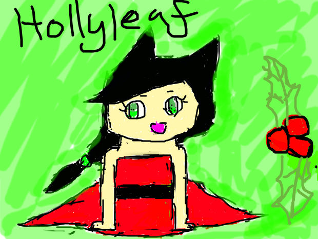 Human Hollyleaf by Dancefern11 on DeviantArt