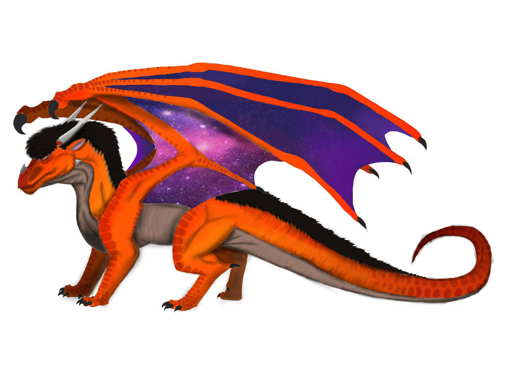 Rocky by QueenDracoDharriott on DeviantArt