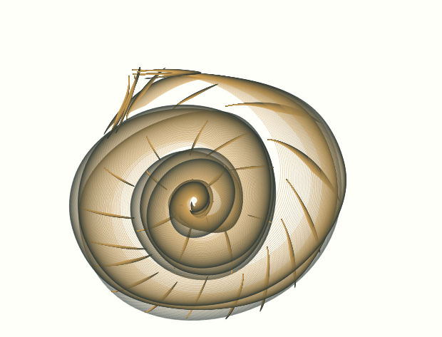 Ammonite by OpearlTheBlackCat on DeviantArt