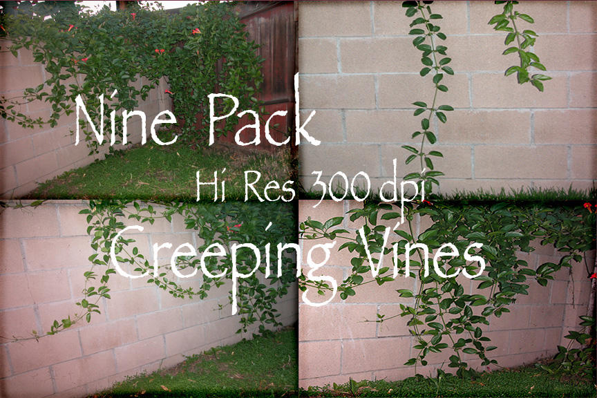 creeping vines pack by ShadowCaste on DeviantArt