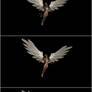 New Angel Wings by shadavar-stock on DeviantArt