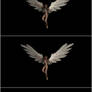 New Angel Wings by shadavar-stock on DeviantArt