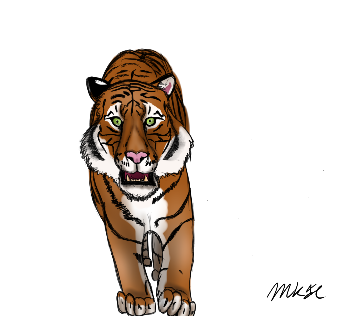 Mad Tiger Drawing ~W.I.P~ by GN-MS on DeviantArt