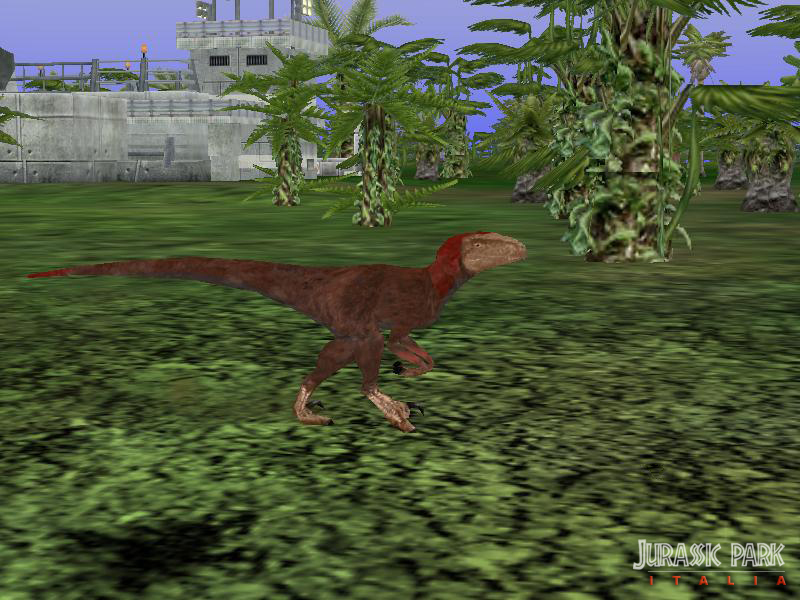 Pod the Pyroraptor by T-Joe on DeviantArt