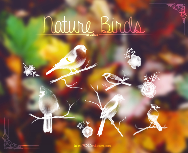 Nature Birds {Brushes} by Julieta7599 on DeviantArt