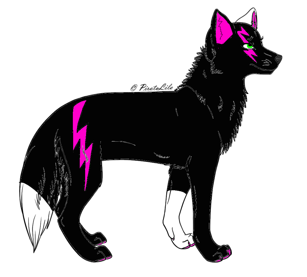 Ash by Gamemasterover9000 on DeviantArt