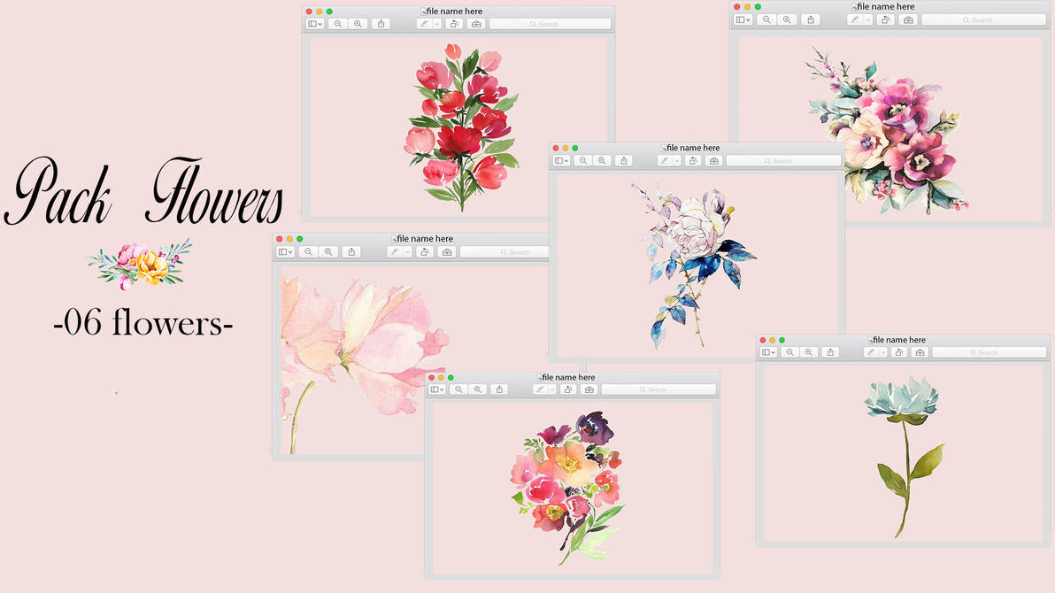 Pack The Flower by andreakaisoo on DeviantArt