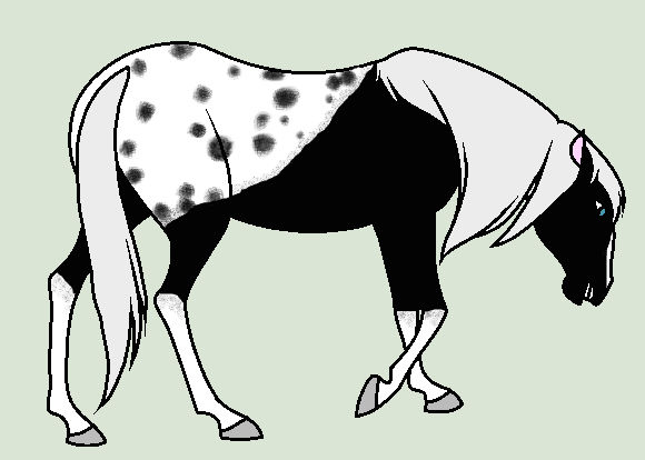 Quintella: Reference Sheet by mkayswritings on DeviantArt