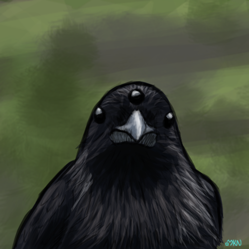 The Crow GIF by KasonSama on DeviantArt