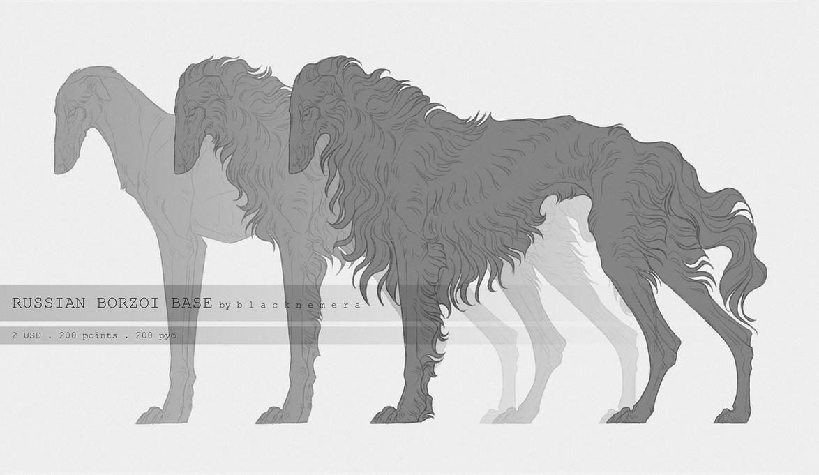 P2U Russian Borzoi Base by Blacknemera on DeviantArt