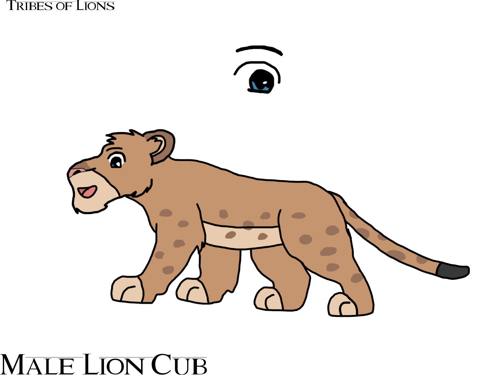 Male Lion Cub by AndrewShilohJeffery on DeviantArt