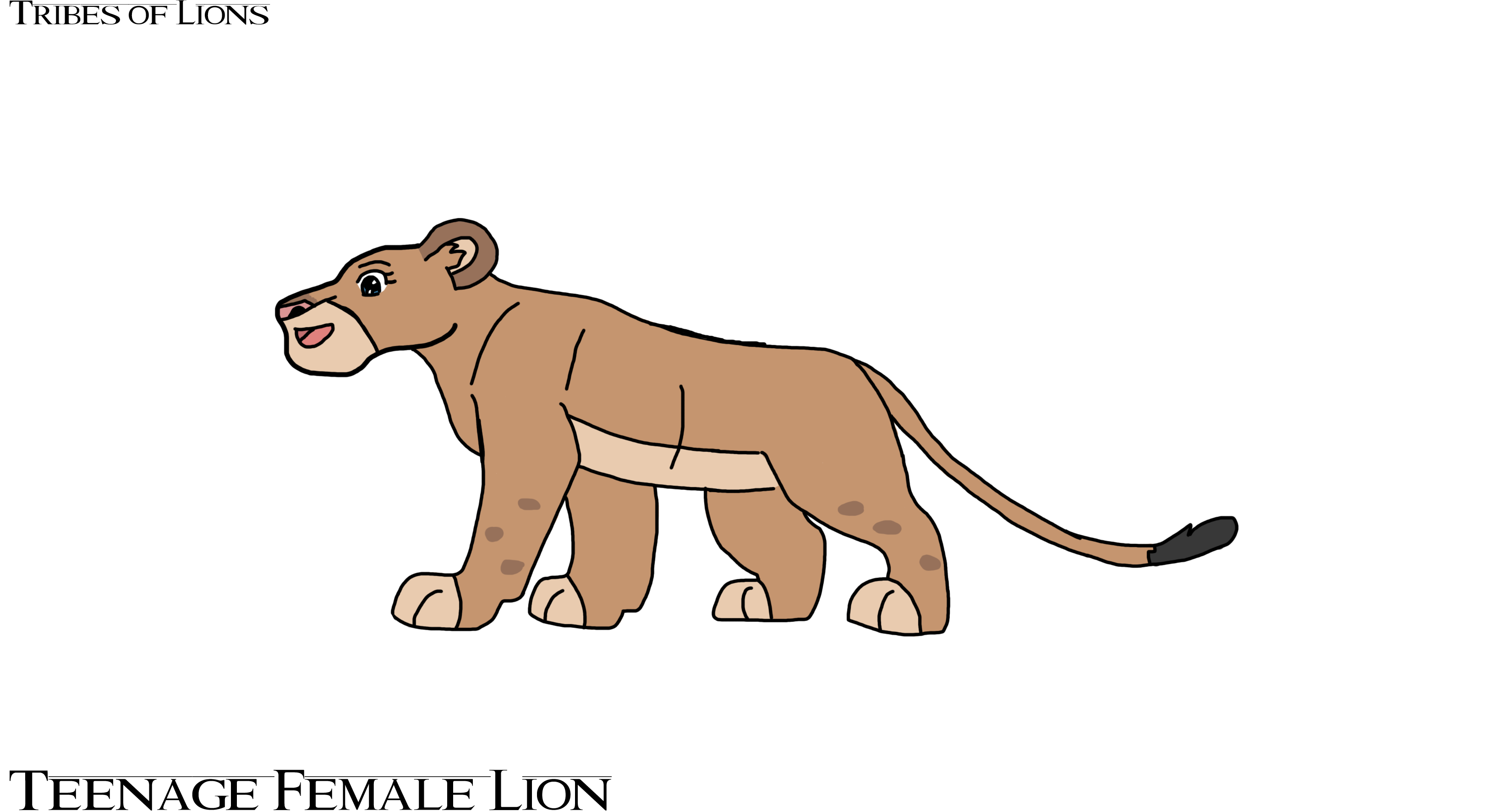 Teenage Female Lion by AndrewShilohJeffery on DeviantArt
