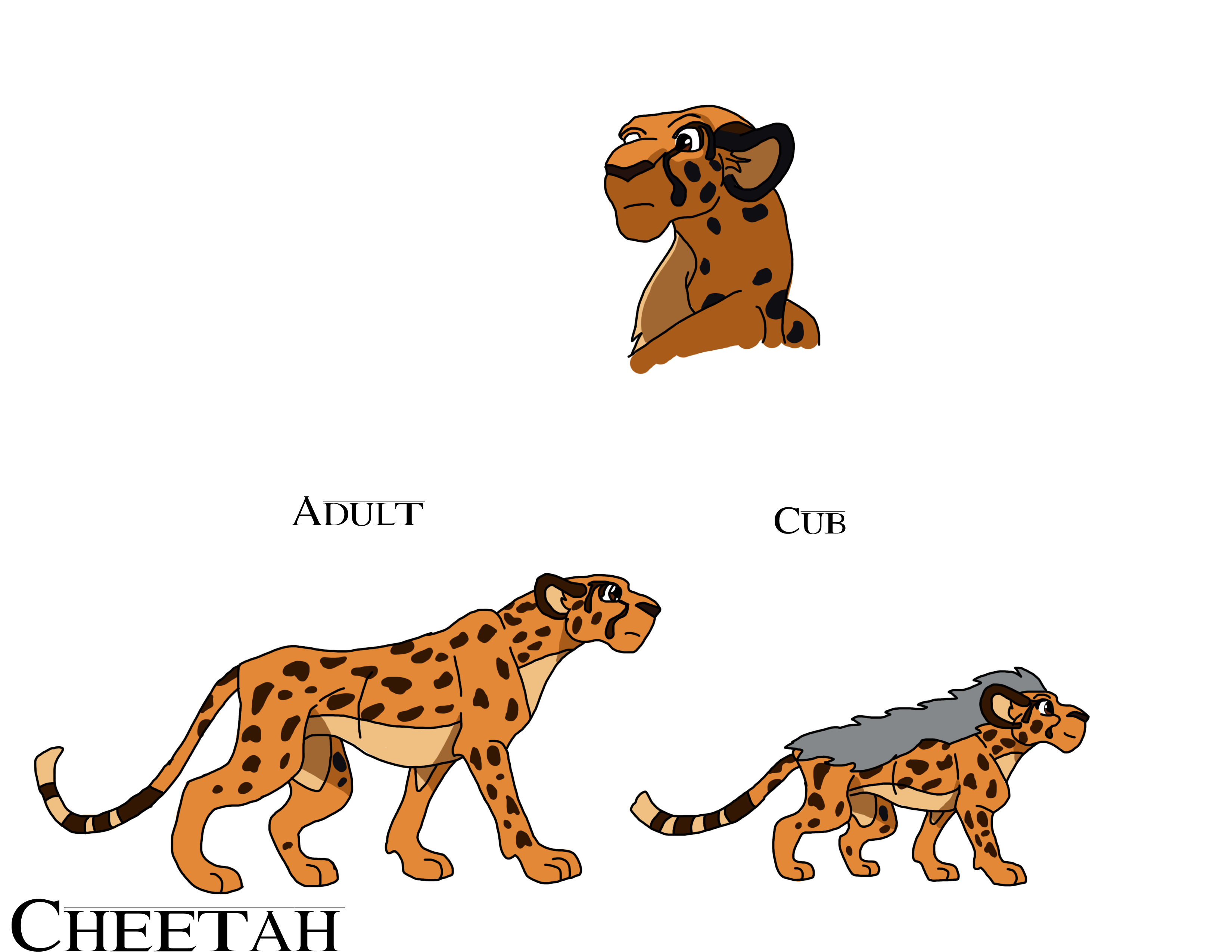 Cheetah Model Sheet Color by AndrewShilohJeffery on DeviantArt
