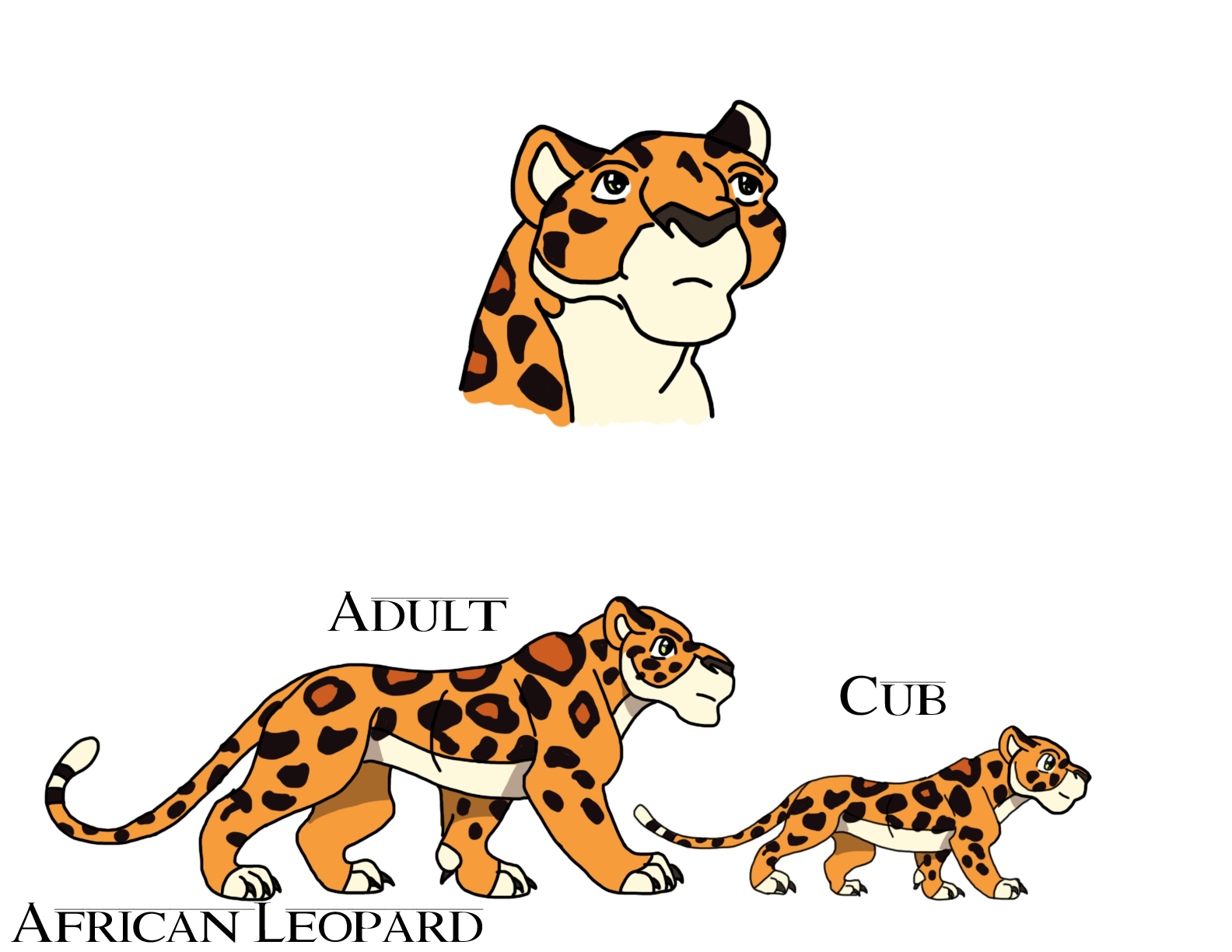 African Leopard Model Sheet Color by AndrewShilohJeffery on DeviantArt