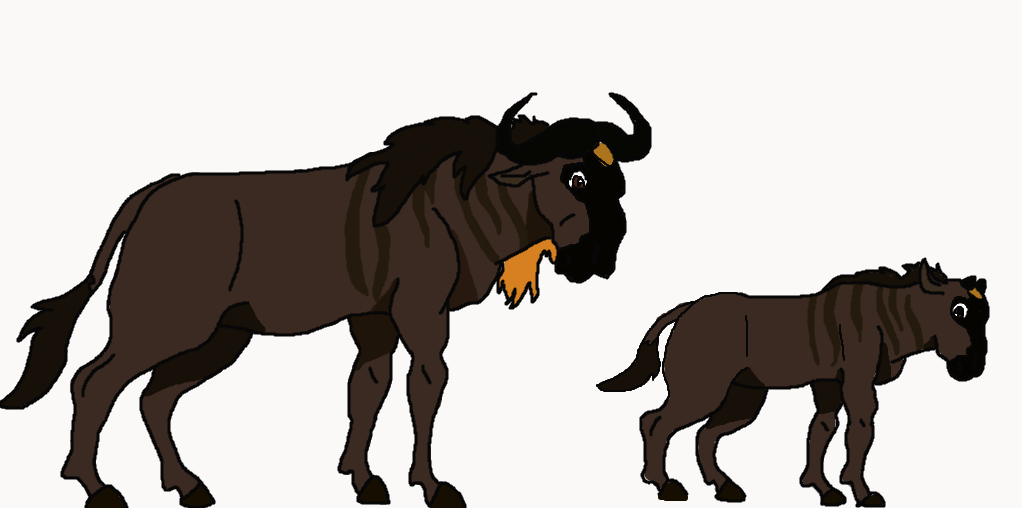 Wildebeest Color Model by AndrewShilohJeffery on DeviantArt