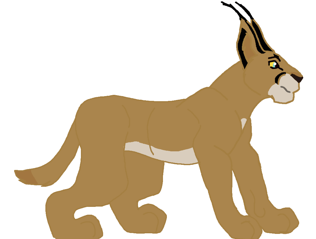 Caracal by AndrewShilohJeffery on DeviantArt