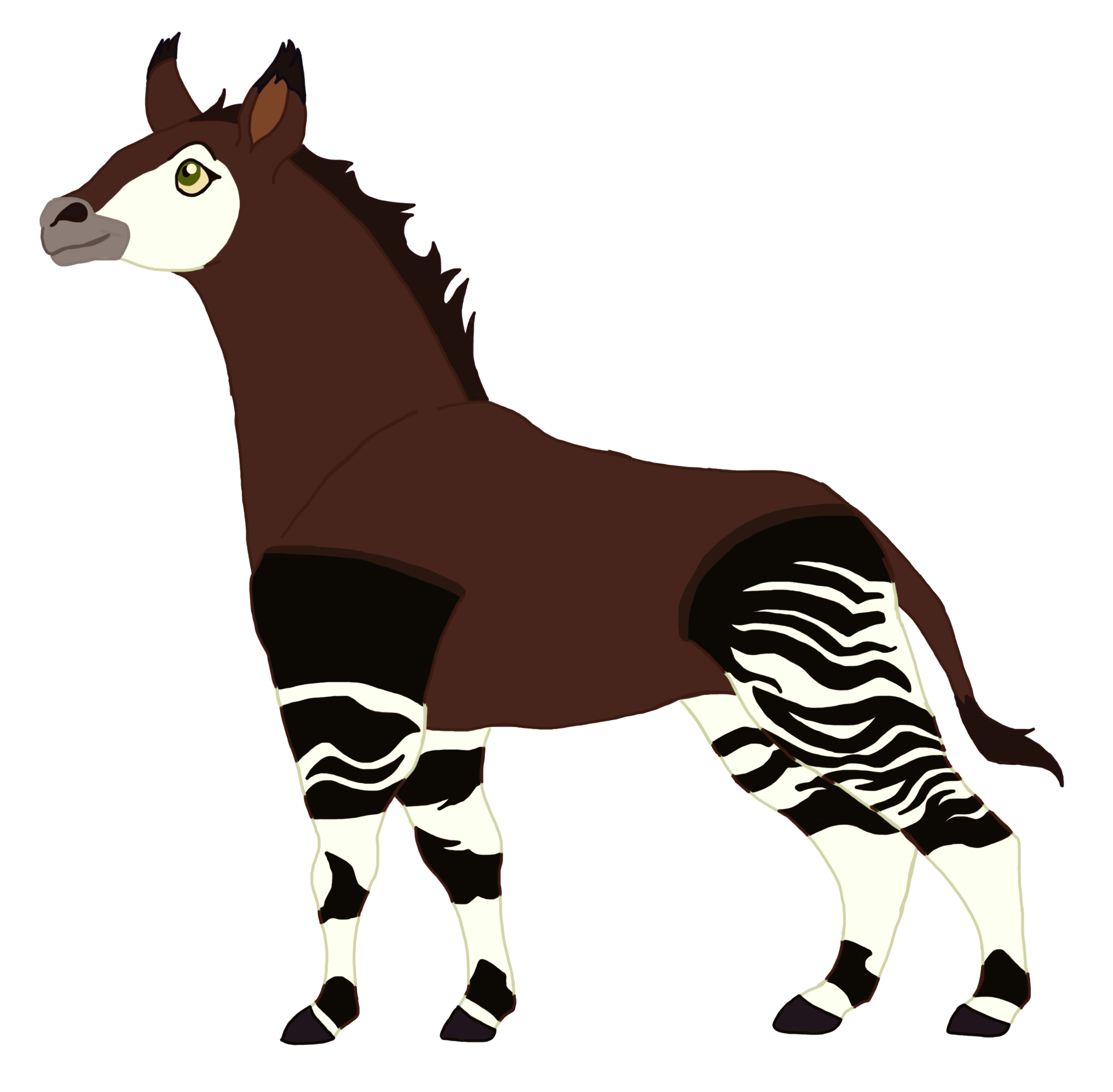 Okapi by AndrewShilohJeffery on DeviantArt