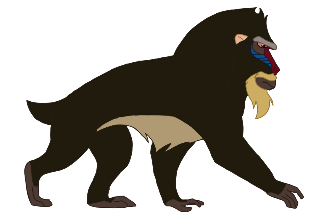 Mandrill (Male) by AndrewShilohJeffery on DeviantArt