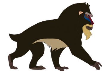 Explore the Best Mandrill Art | DeviantArt