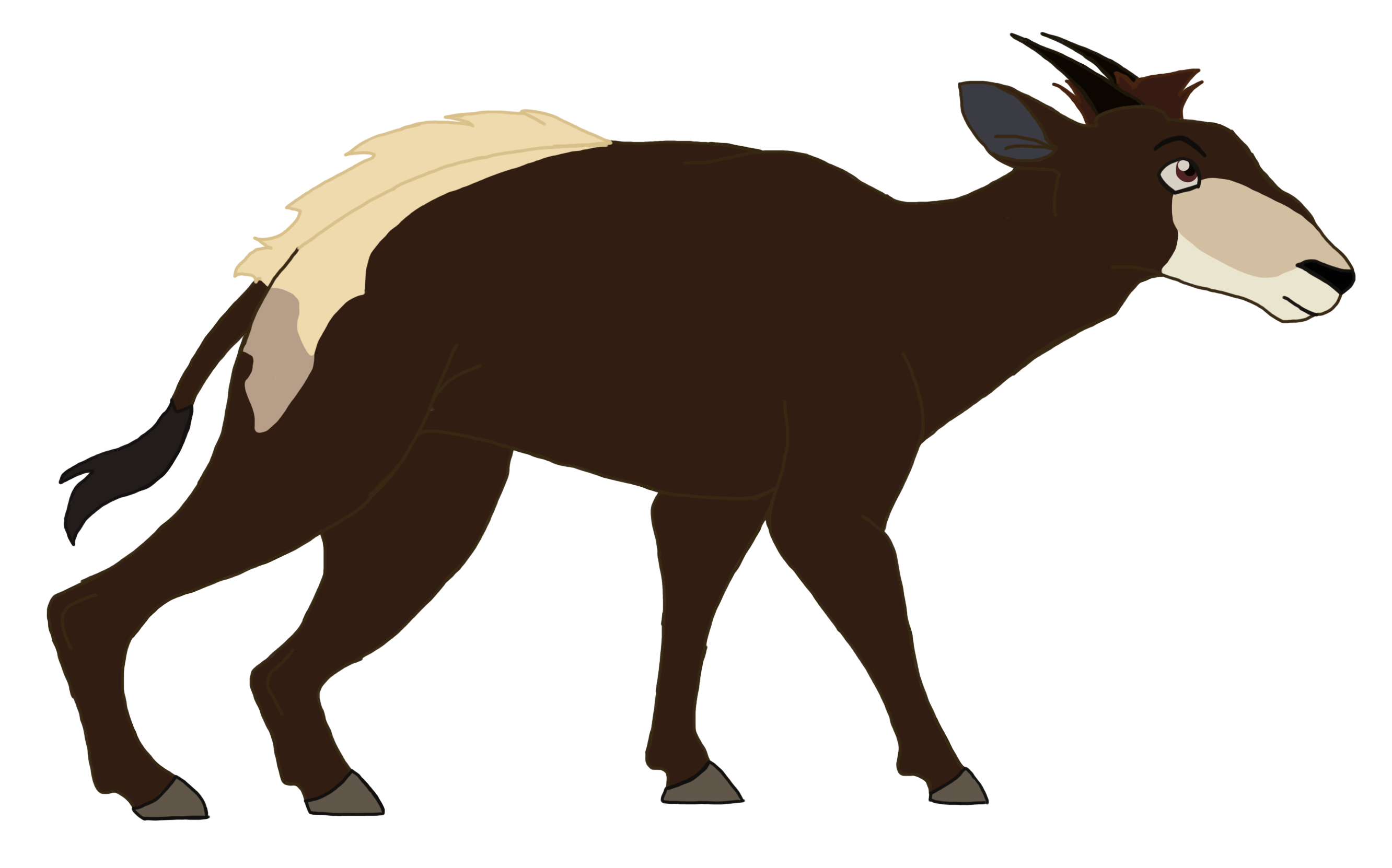 Yellow Backed Duiker by AndrewShilohJeffery on DeviantArt