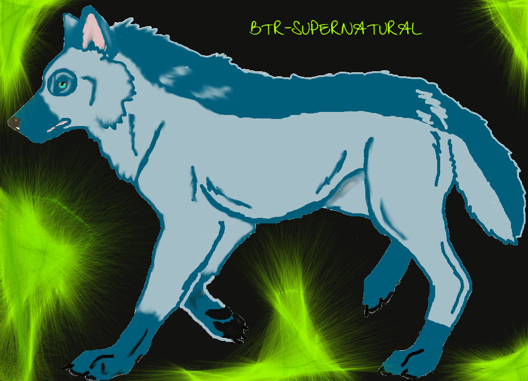 WOLF GHOST by BTR-Supernatural on DeviantArt