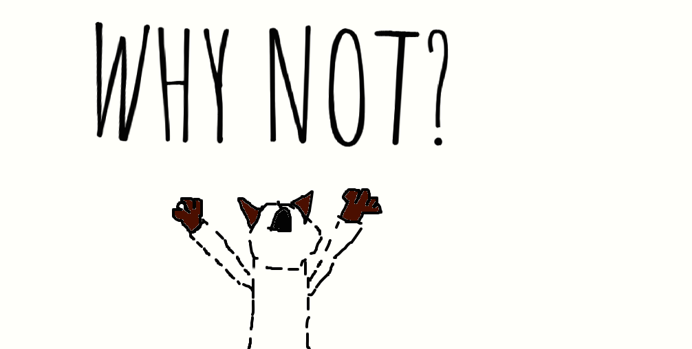 Why Not? meme with Harvey Hawks by AdmiralNightfury on DeviantArt