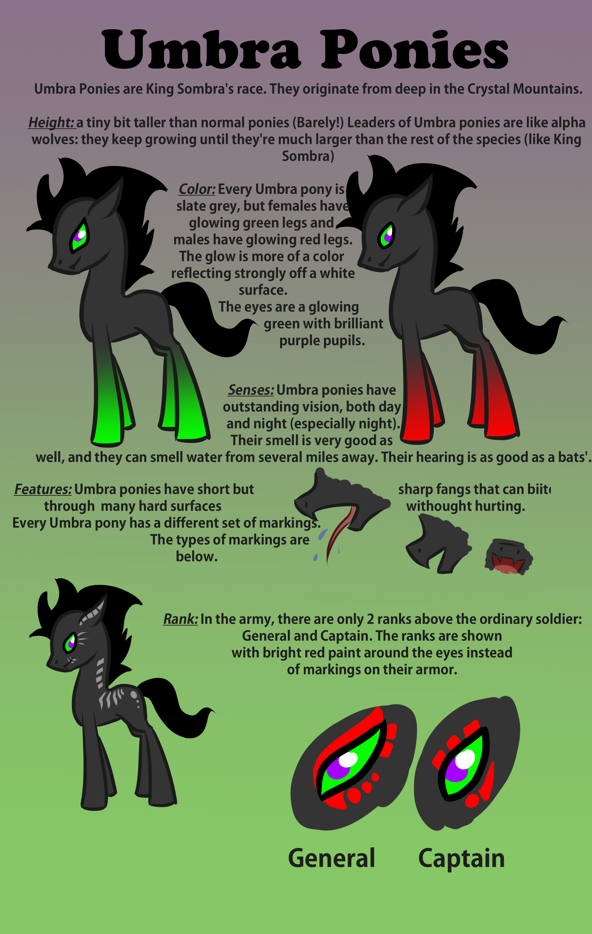 Umbra Pony Species Sheet by Joan-Grace on DeviantArt