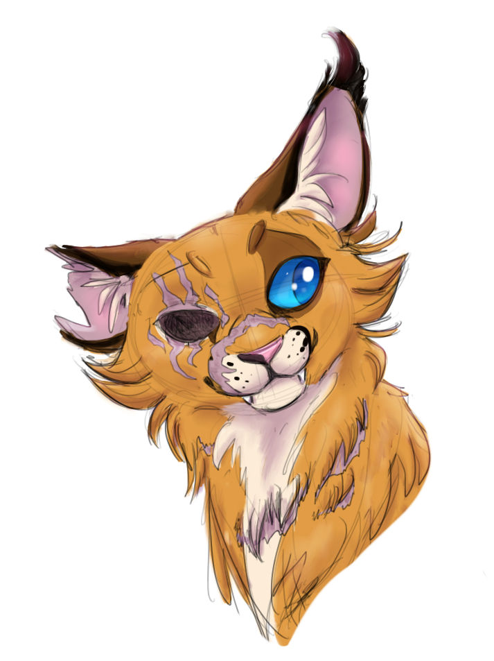 Reunion - An Adin Cynthia RP by Lunam-Flore on DeviantArt