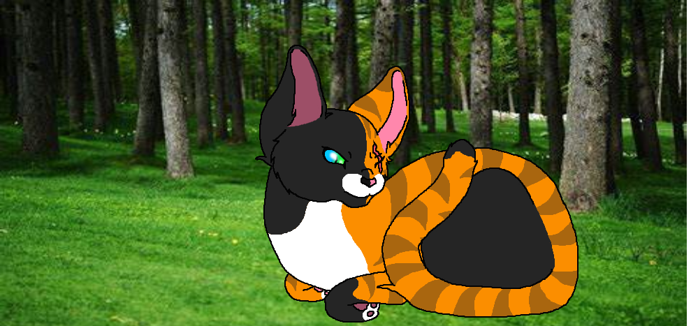 Chimera Kitty OC by ThePurrfectionist on DeviantArt