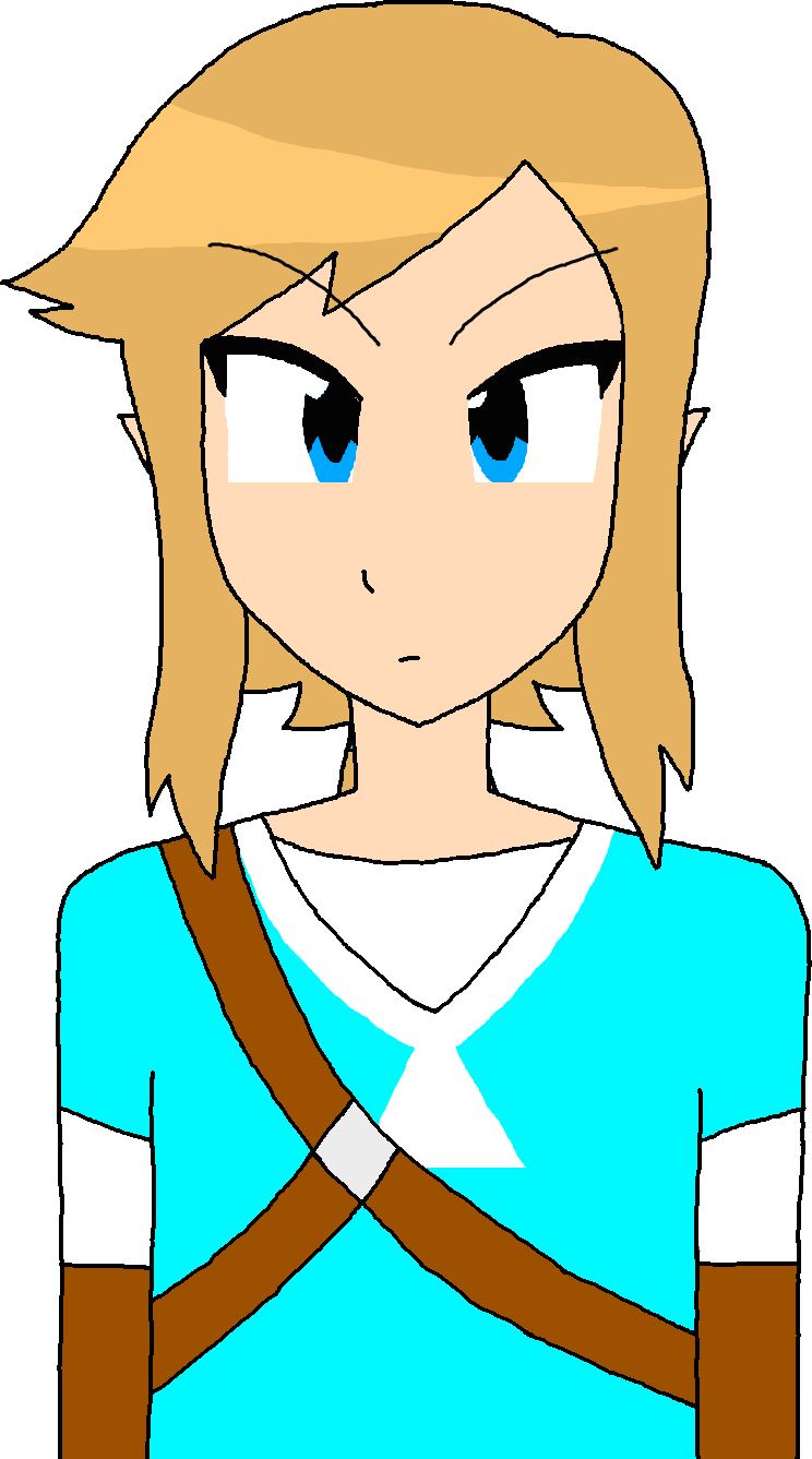 Behold, the Hero of Hyrule, Zelda-I Mean, Link! by Hypno-Scream on ...