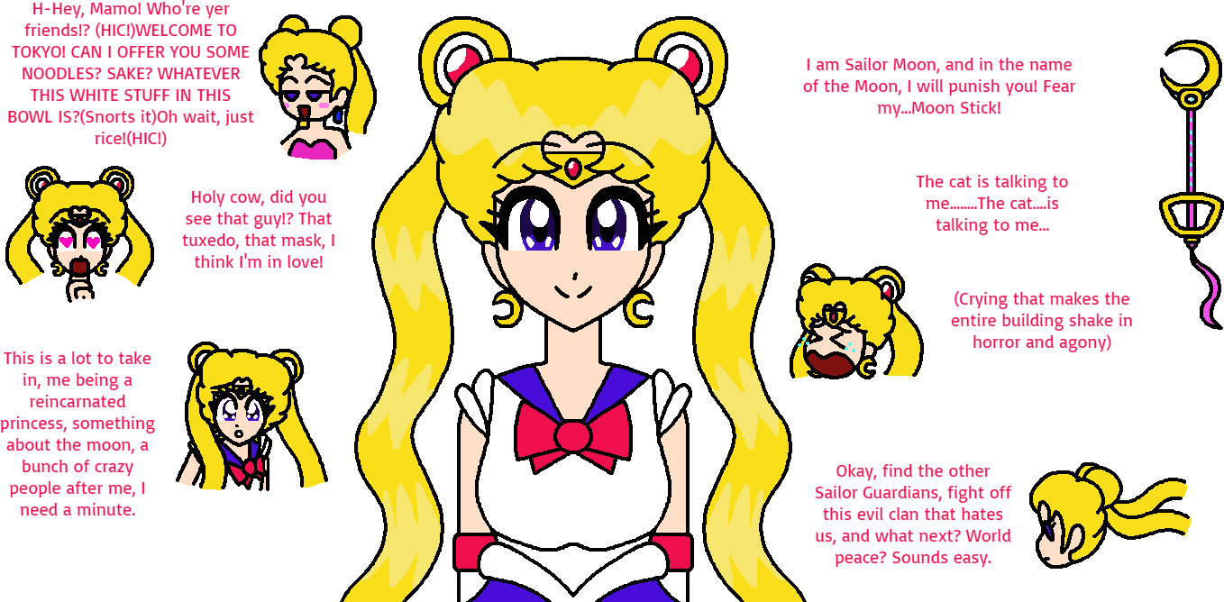 Fight Evil By Moonlight, Sailor Moon! by Screaming-Sheldon on DeviantArt