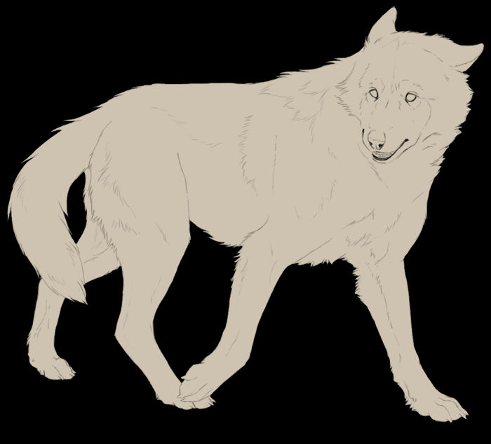 Free lineart wolf - walking by Marzzunny on DeviantArt