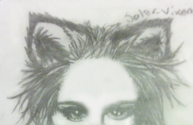 Solar-Fox Profile by Solar-Vixen on DeviantArt