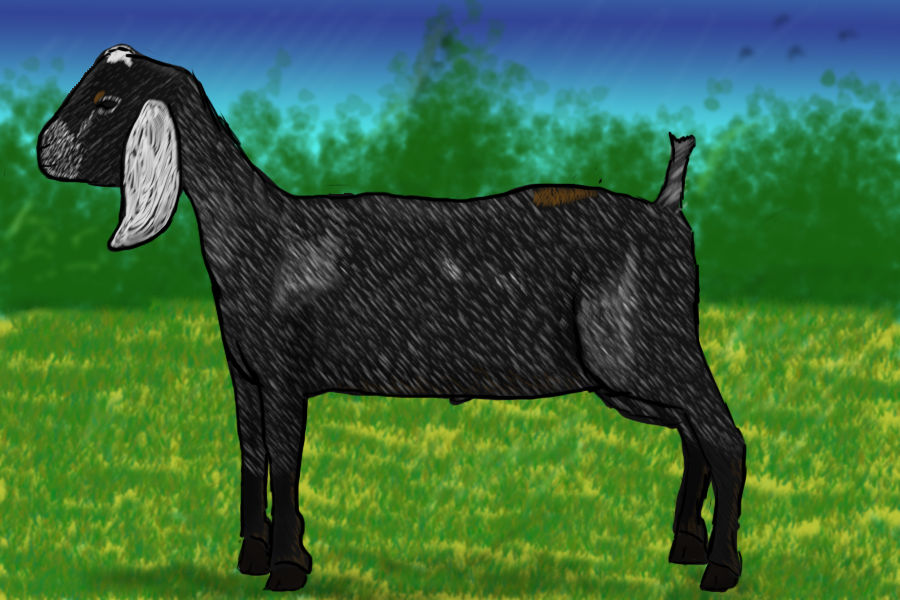 Major Tom by Cactisaur on DeviantArt