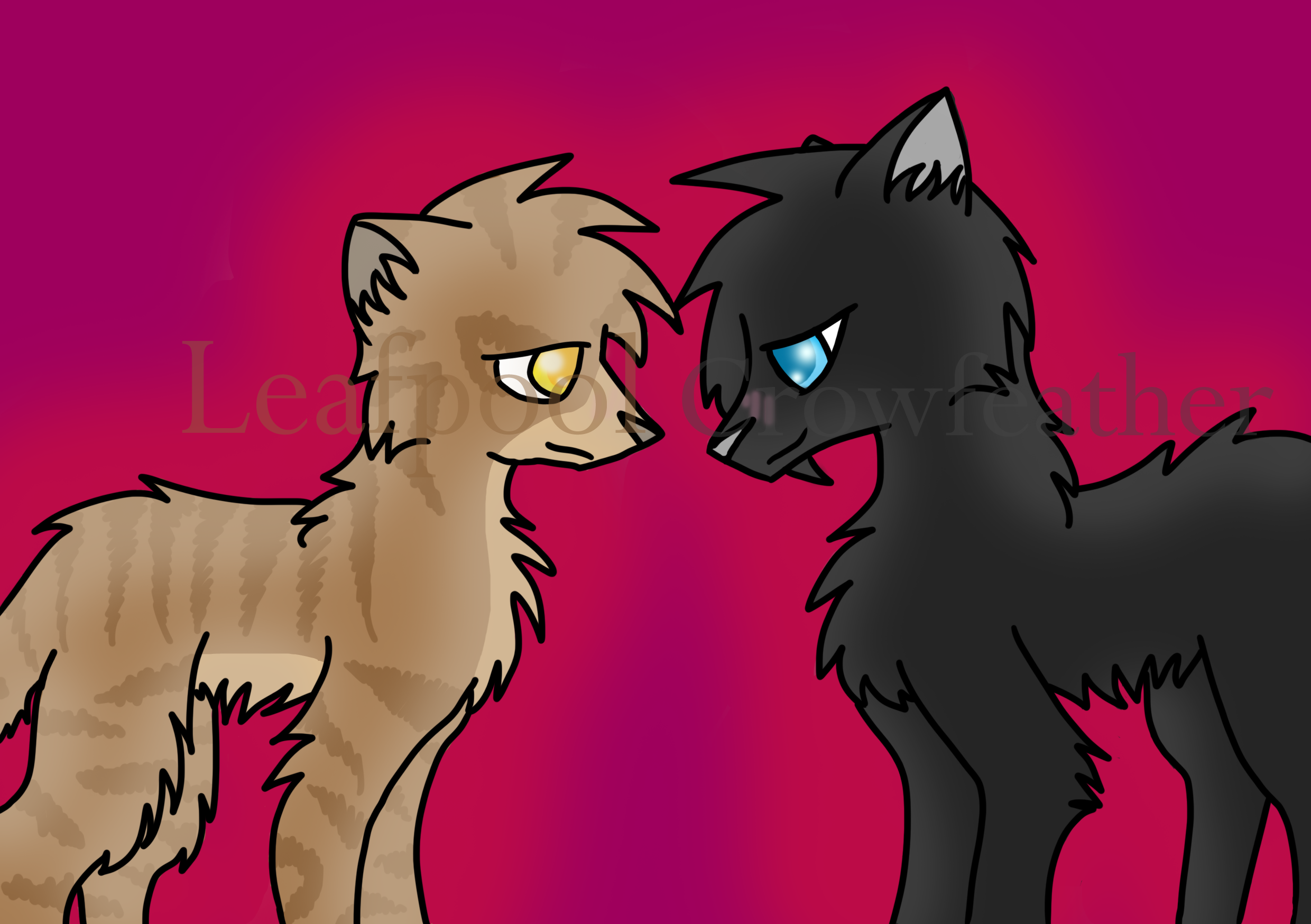 Leafpool x crowfeather by Meownimator on DeviantArt