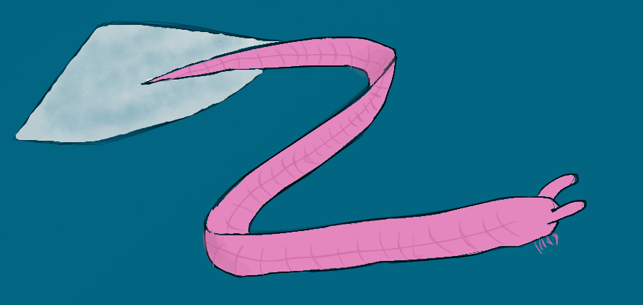 Pikaia by ZoologicalBotanist on DeviantArt