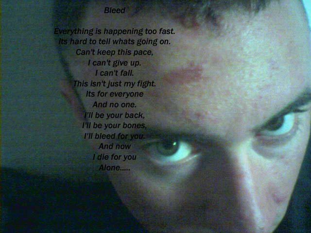 Bleed by WolfofDarkstar on DeviantArt