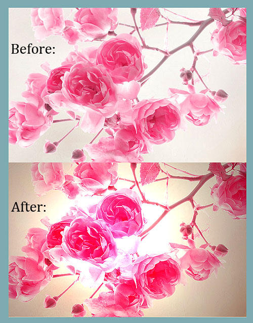 Pinkest Pink Photoshop Action by teresasroom on DeviantArt