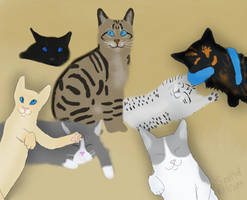 Spotted-Tabby-Cat User Profile | DeviantArt