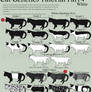 Cat Genetics Tutorial Part 1 (Base Colors) by Spotted-Tabby-Cat on ...