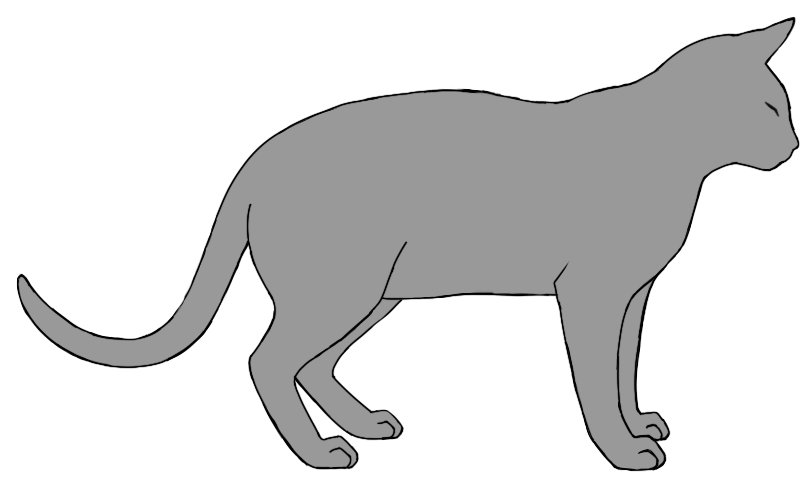 Cat genetics lineart update by Spotted-Tabby-Cat on DeviantArt