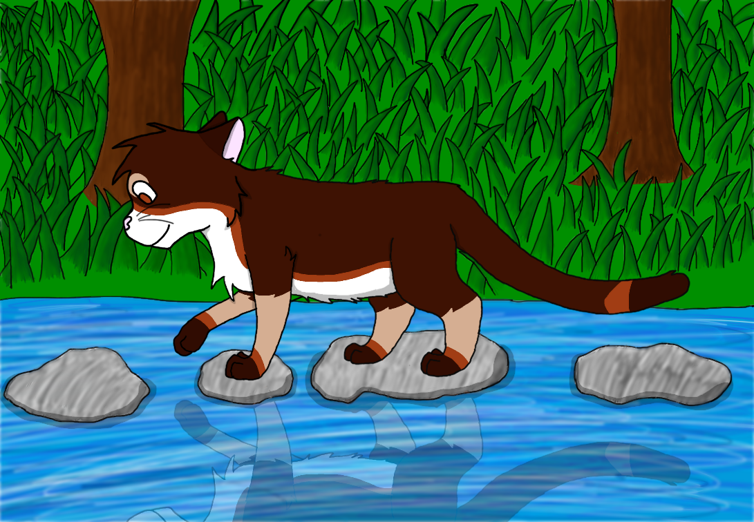 Hazel cat (Commission for Storm) by Chedtim on DeviantArt