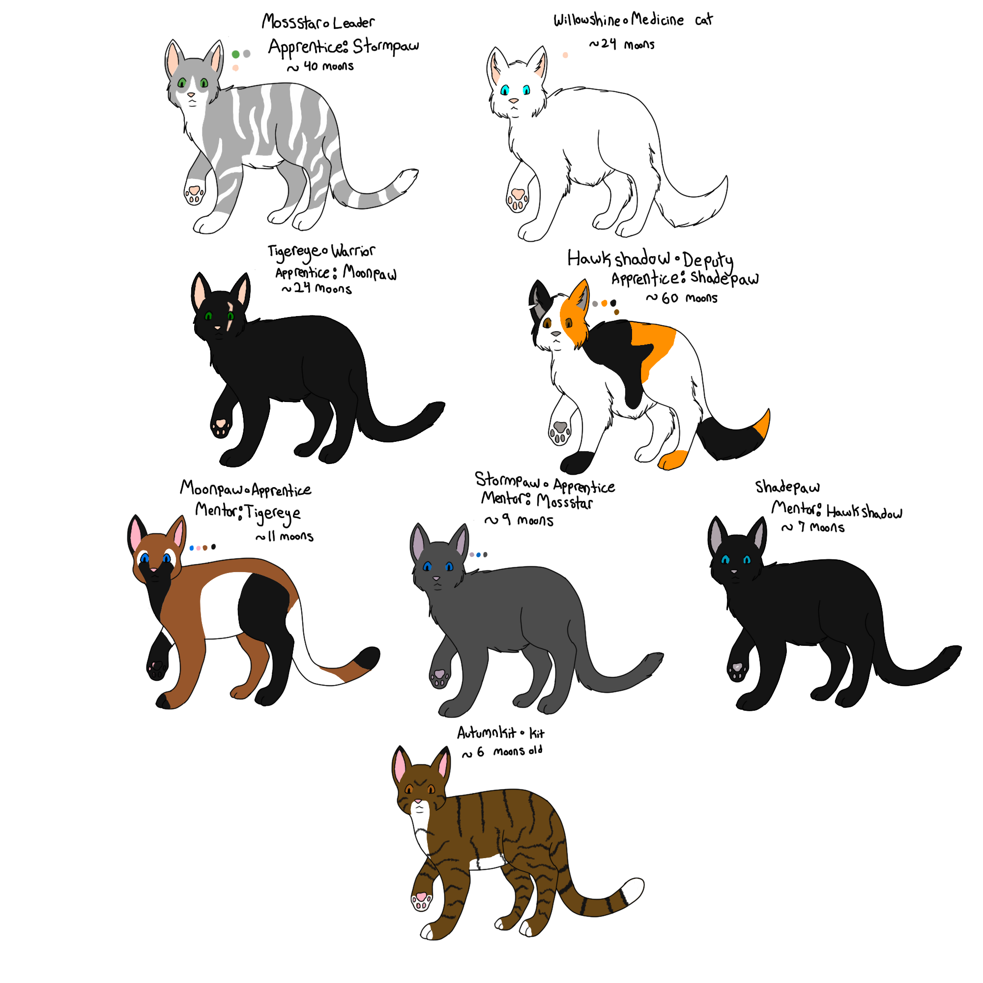 StormClan as of the beginning of Chapter 2 by Chedtim on DeviantArt