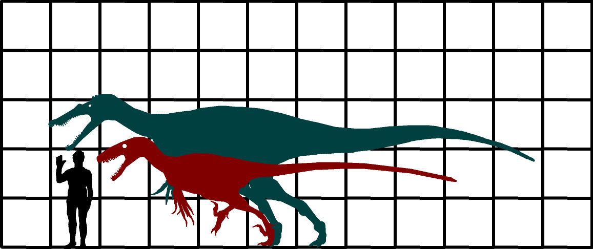 Old: Baryonyx vs Utahraptor size comparison by Thesporerex on DeviantArt
