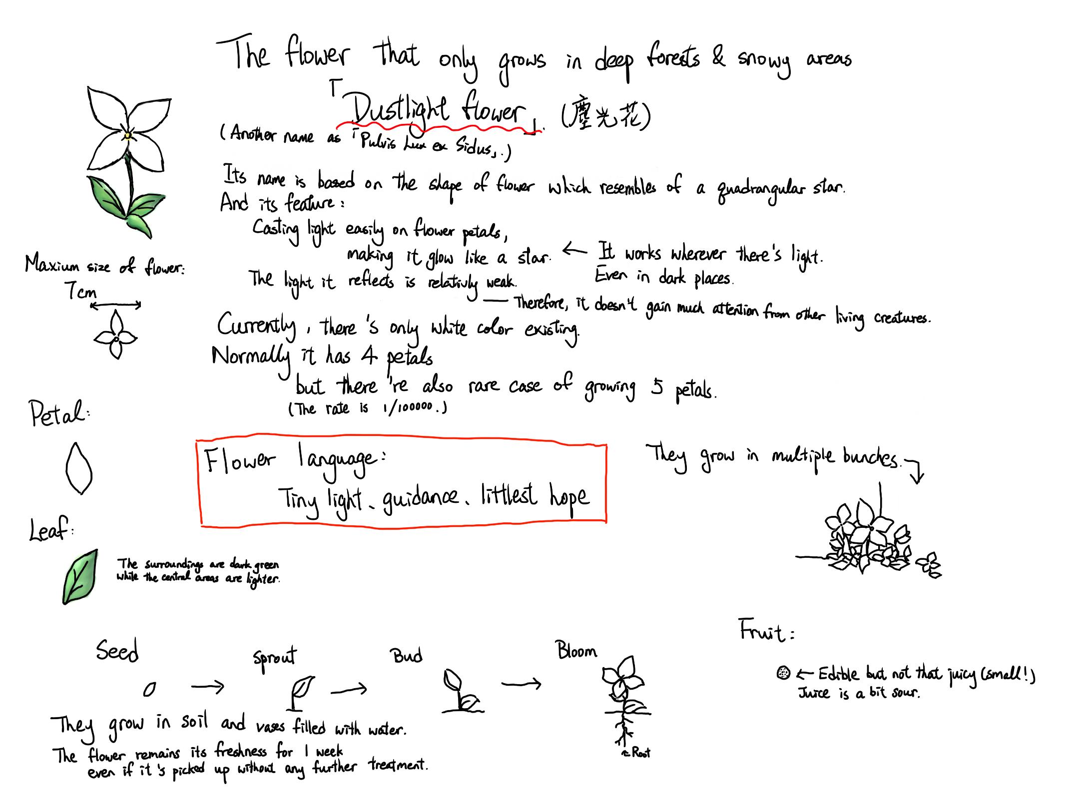 Flower data: Dustlight flower by Secret-Sherry34 on DeviantArt