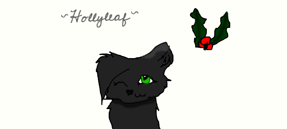 Hollyleaf drawing by ClashingCurse on DeviantArt
