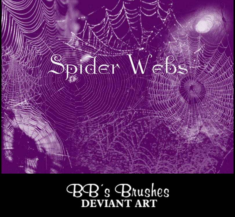 Spider Webs by BBs-Brushes on DeviantArt